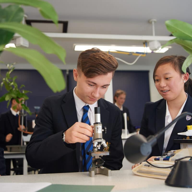 LVS Ascot | Elite Scheme